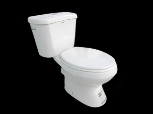 Arrow Toilet Set 2118HD – Ali's Hardware Ltd.